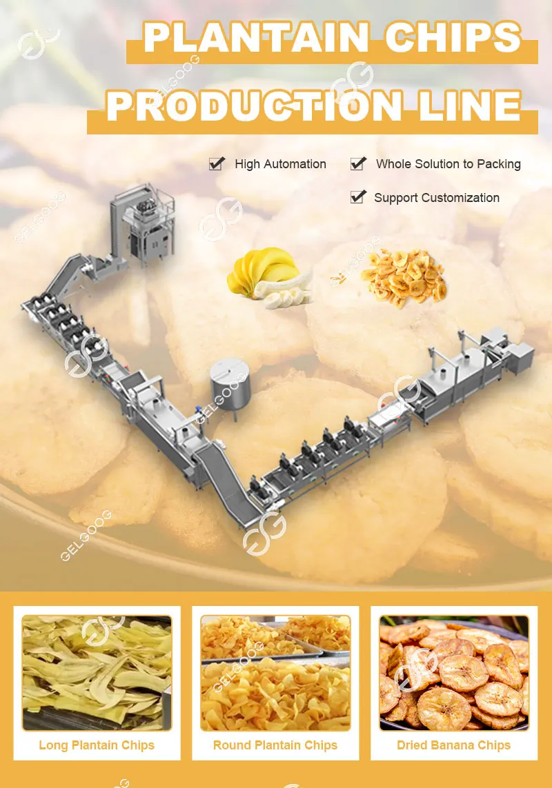 Automatic Philippine Green Plantain Chips Processing Line