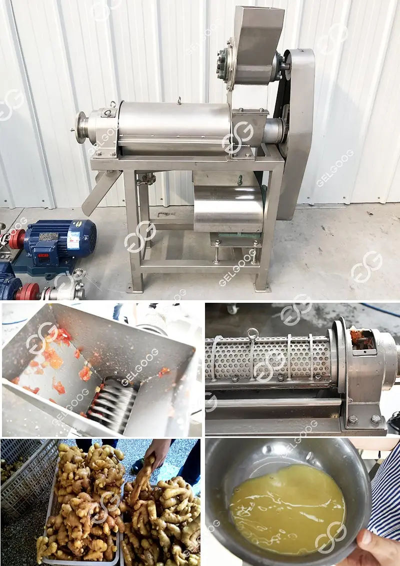 Industrial Spiral Juicer Extractor Machine for Ginger Juice