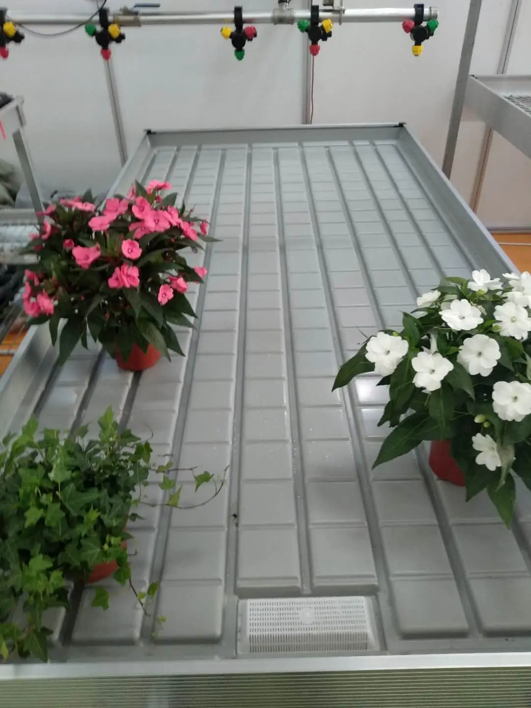 Indoor Vertical Growing Plants Table Grow Flood Drain Tray Hydroponic ...