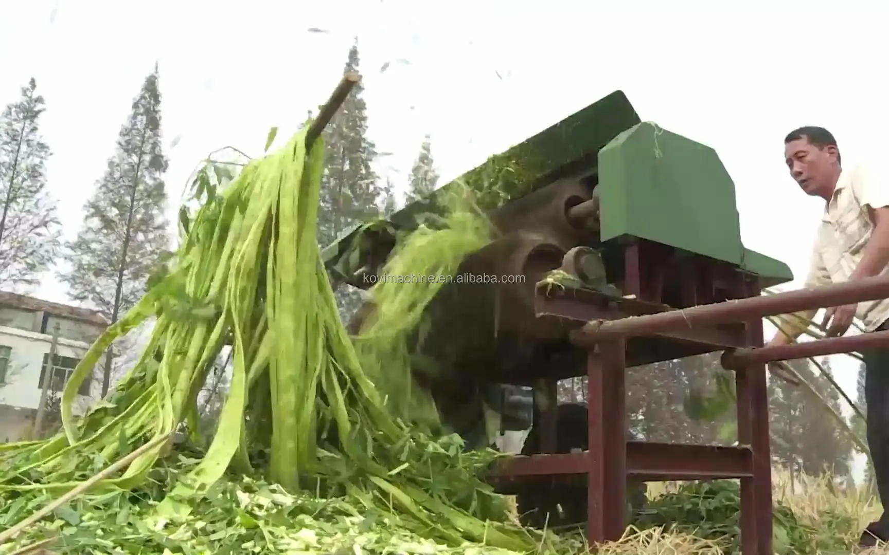 Philippines Abaca Hemp Fiber Decorticator Machine High Productivity