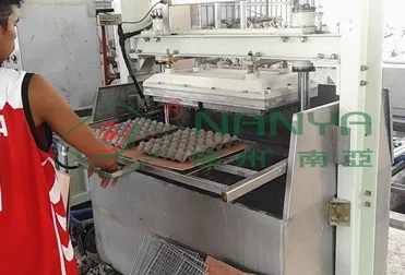 Small Recycled Waste Paper Pulp Molded 30 Egg Trays Box Machine - Buy ...
