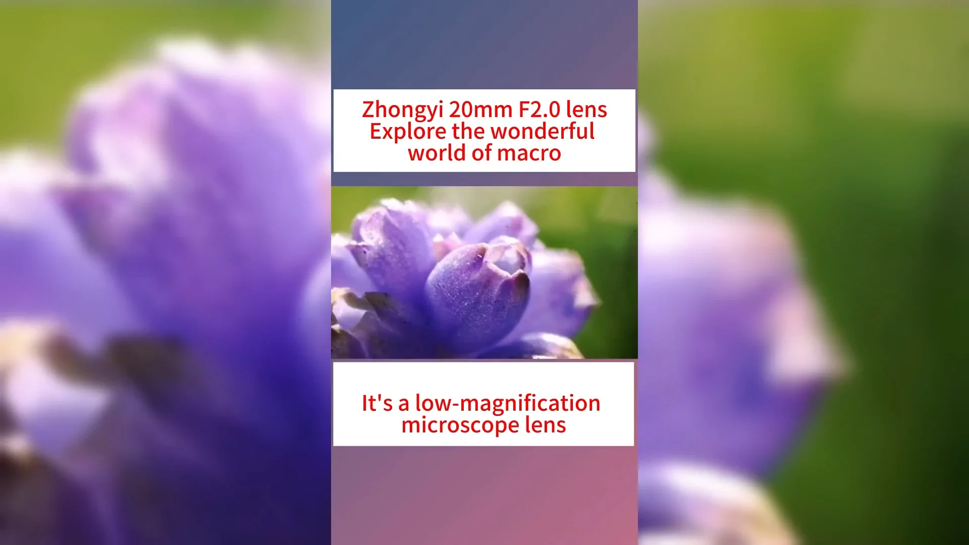 Zhongyi Optics' Low-magnification Microscope Lens Is Small,Delicate,And ...