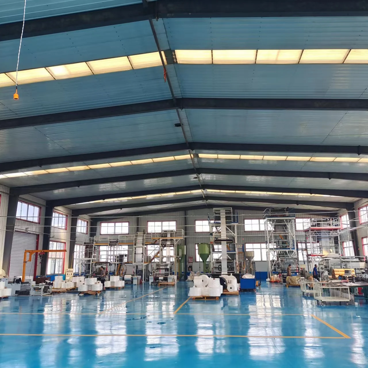 Transparent Custom Print 20kg 25kg Polyethylene Bags