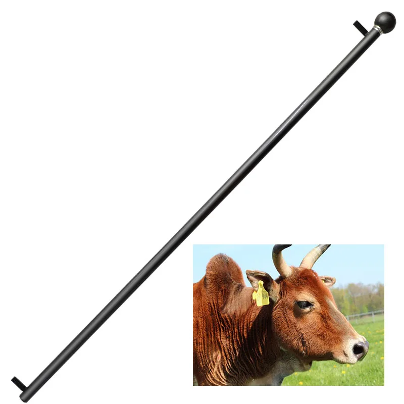 Alibaba.com: Copper Stainless Steel Animal Measuring Device, Height ...