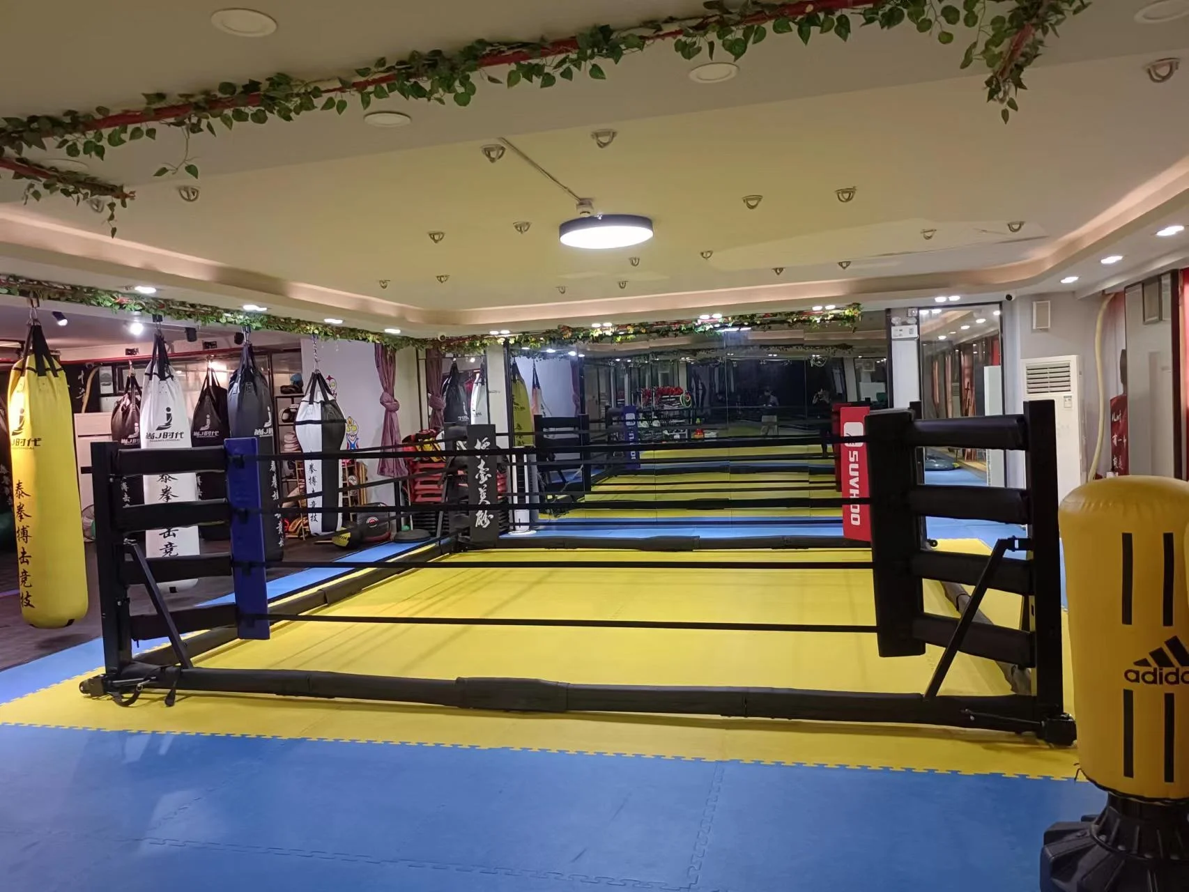 Ground Boxing Ring Pro Wrestling Ring Muay Thai Ring - Buy Boxing Ring ...