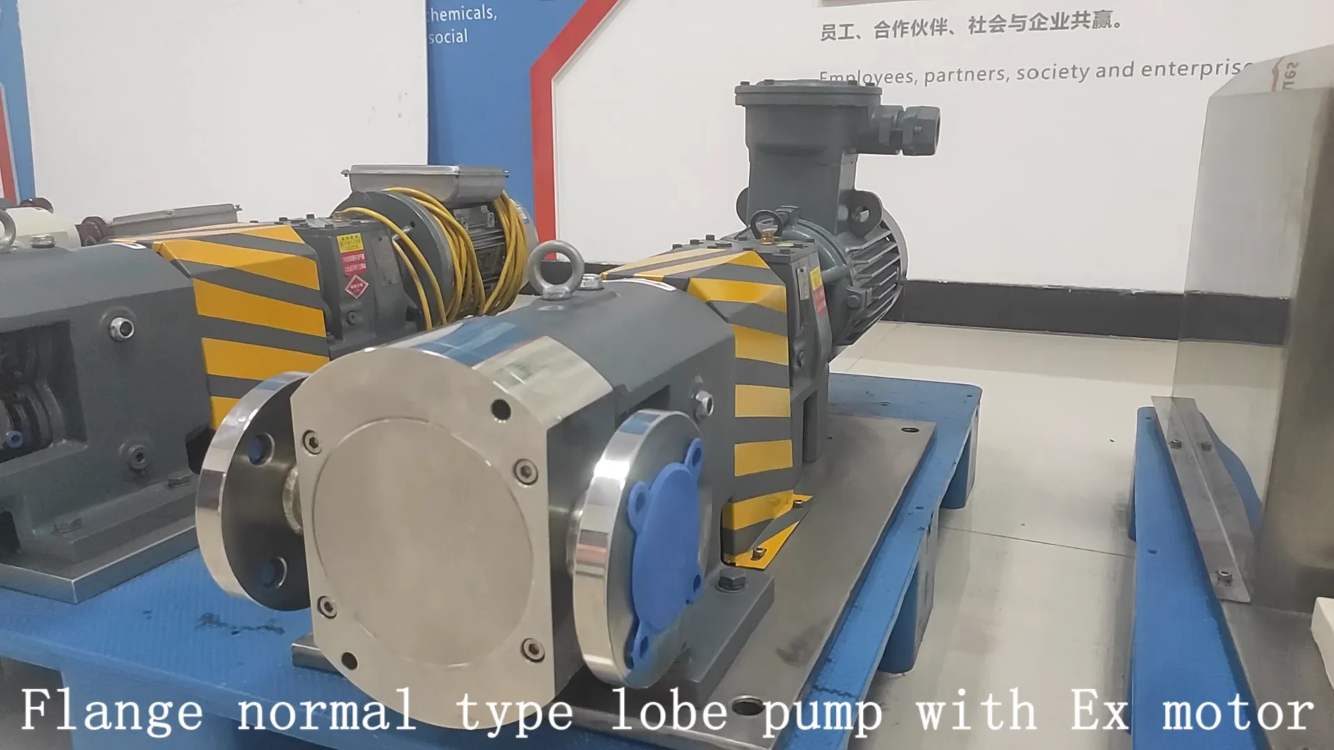 Stainless Steel Positive Displacement Pump High Efficiency Epoxy Resin ...