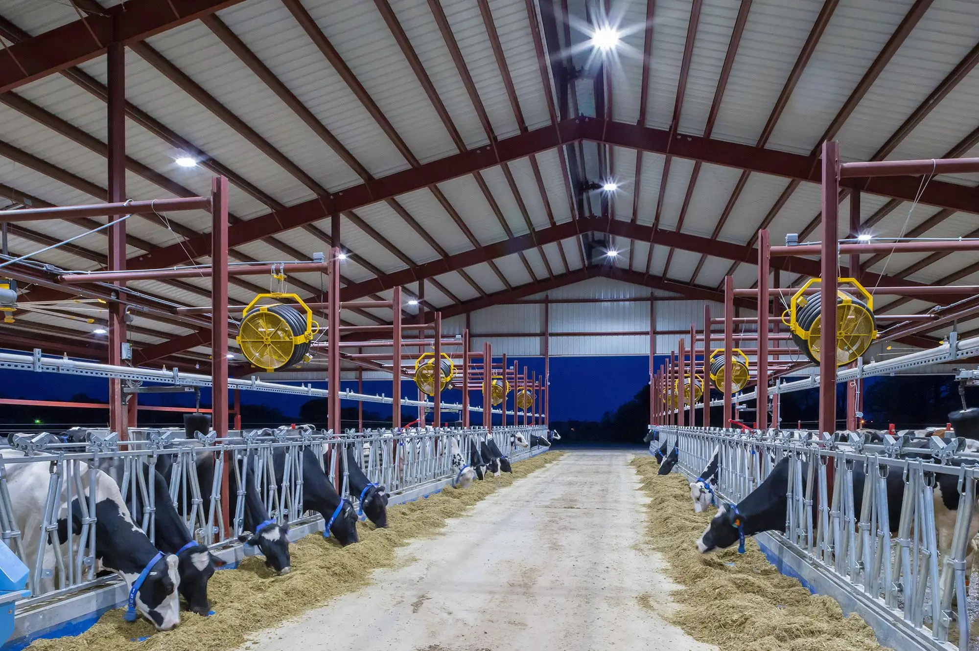 Prefabricated Cattle Shed with Steel Frame & PU Cladding
