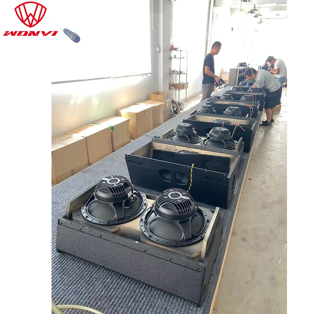 T24N Dual 12 Inch Full Range Loudspeaker for Indoor Outdoor Stage Show