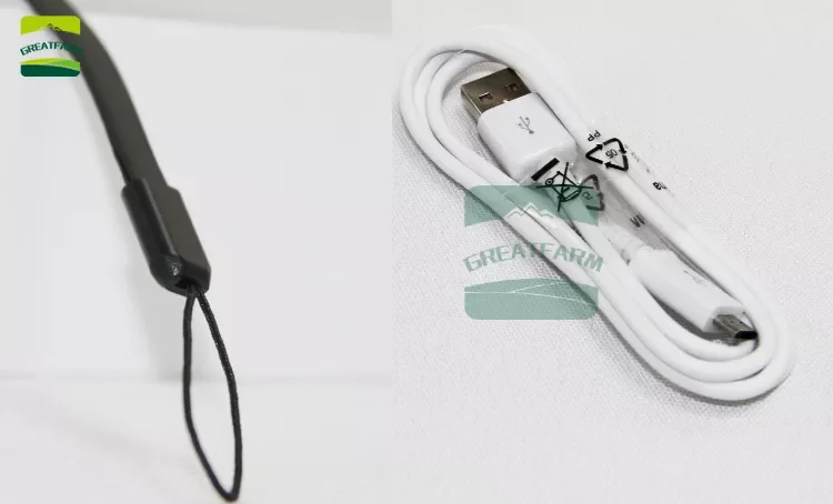 Veterinary Wireless Portable Type B-ultrasound Handheld Portable Color ...