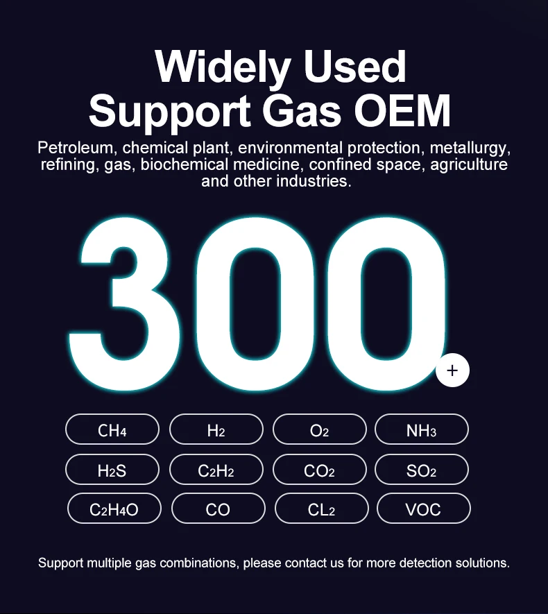RTTPP DR850 COMB / O2 / CO / H2S Portable 4-in-1 Gas Detector Diffused ...