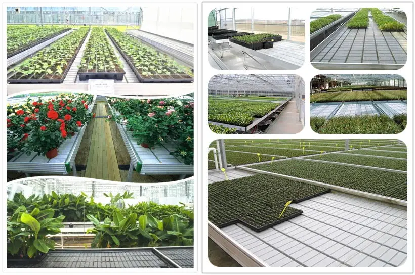 Vertical Hydroponic Grow Rack Flood Table Ebb Flow Rolling Benches ...