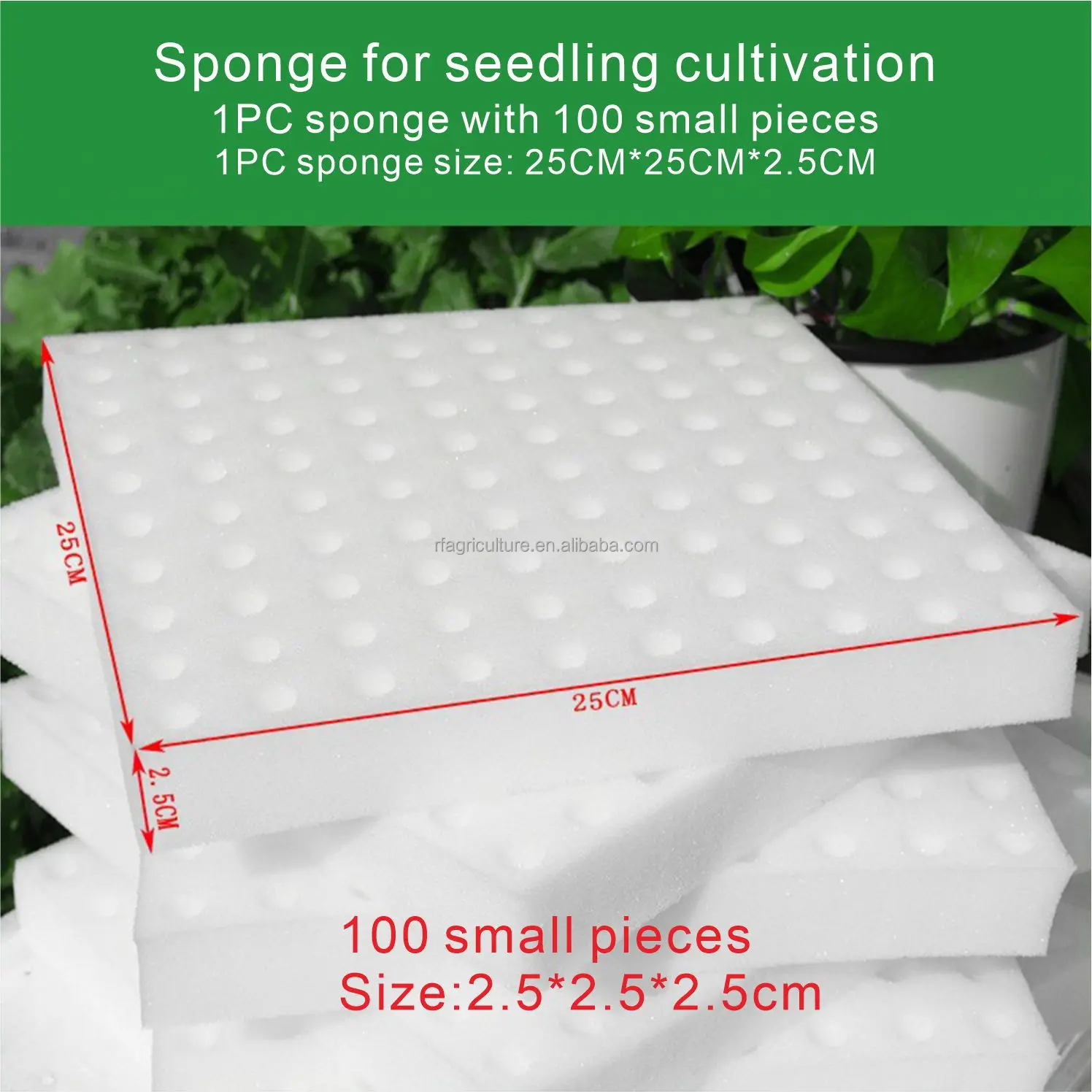 100 Holes Hydroponics Seedling Sponge Soilless Vegetable Cultivation ...