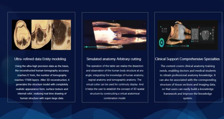 Human Virtual Anatomy Table - 3D Dissection for Medical Science