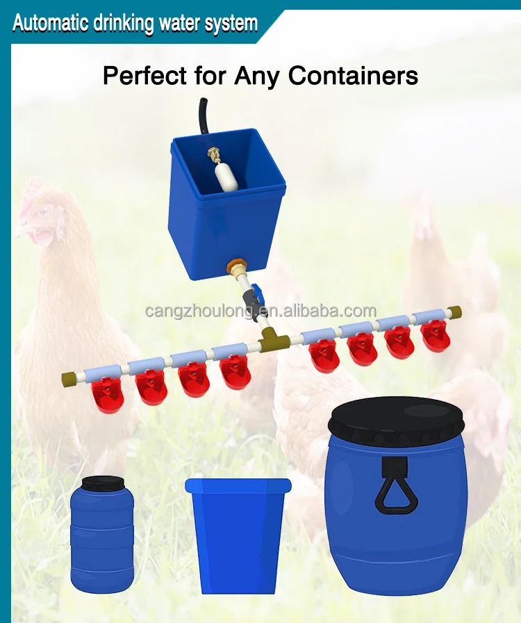 Zb Automatic Backyard Chicken Baby Chick Drinker Complete Set Pipeline ...
