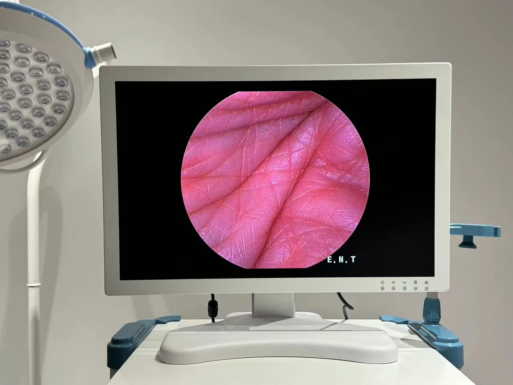 Endoscope Light Source 100w Diagnostic Endoscopic Ent Medical Led Cold ...