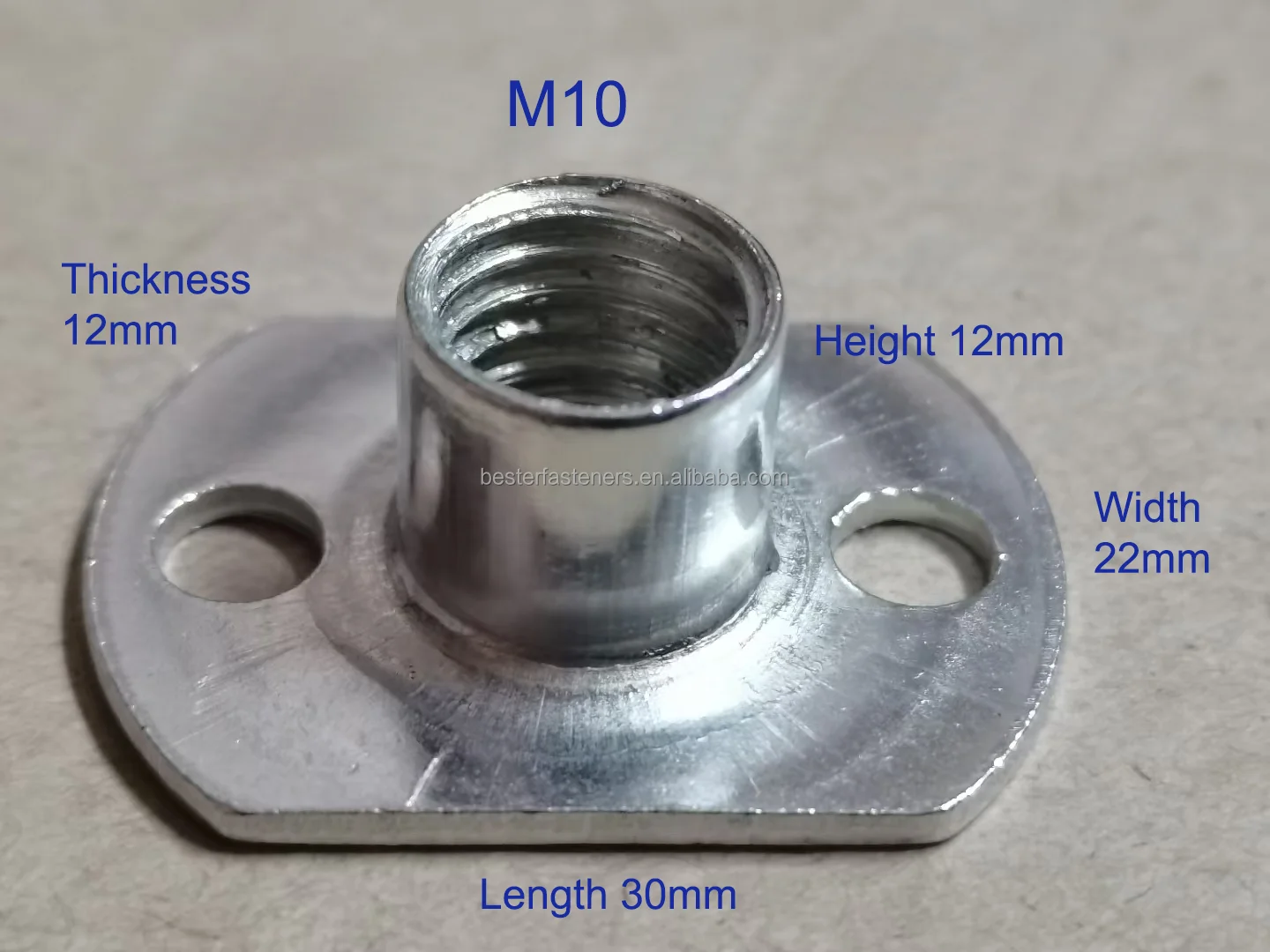 Round Base 2 Brad Hole Tee M10 T Nut for Climbing - Besterfasteners