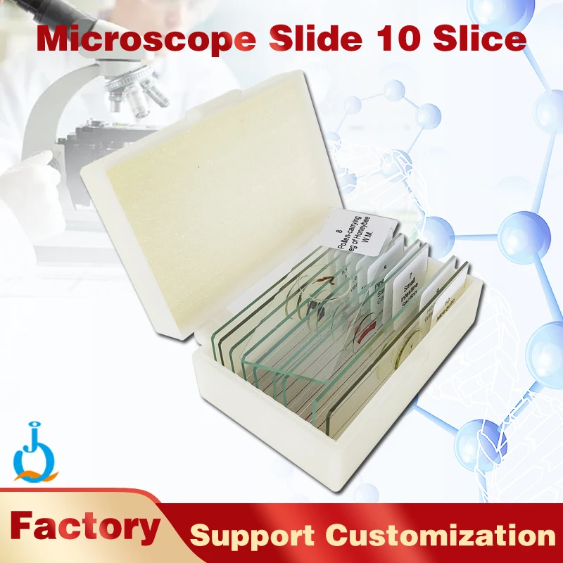 10pcs Specimens Prepared Biology Microscope Slides Set For Biology ...
