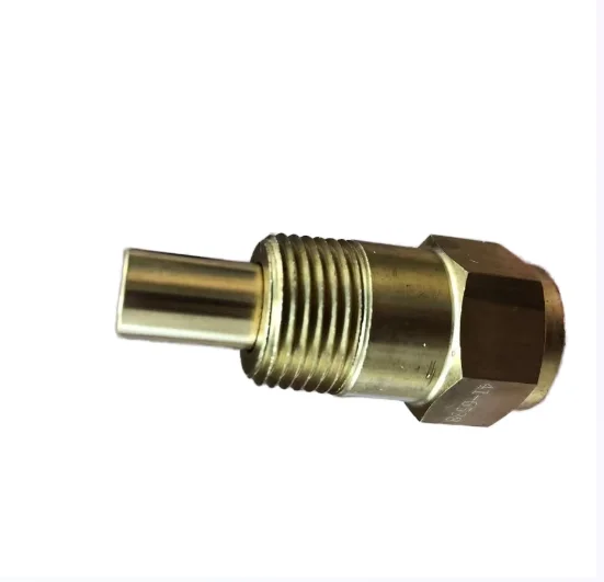 Refrigerator Compressor Water Temperature Sensor Valve for ThermoKing ...