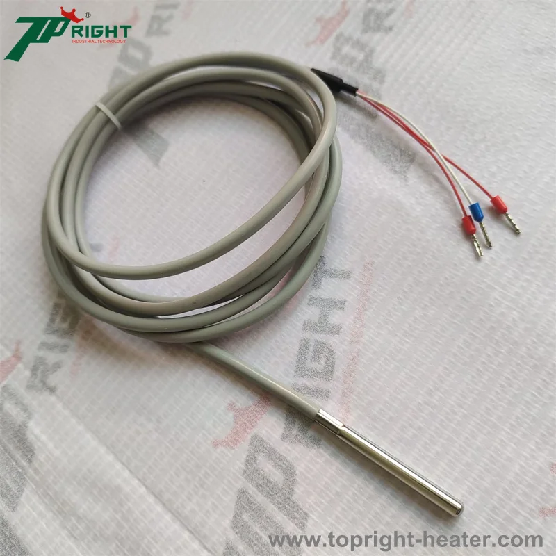 Resistor NTC Thermistor Wzp PT1000 PT100 Temperature Sensor