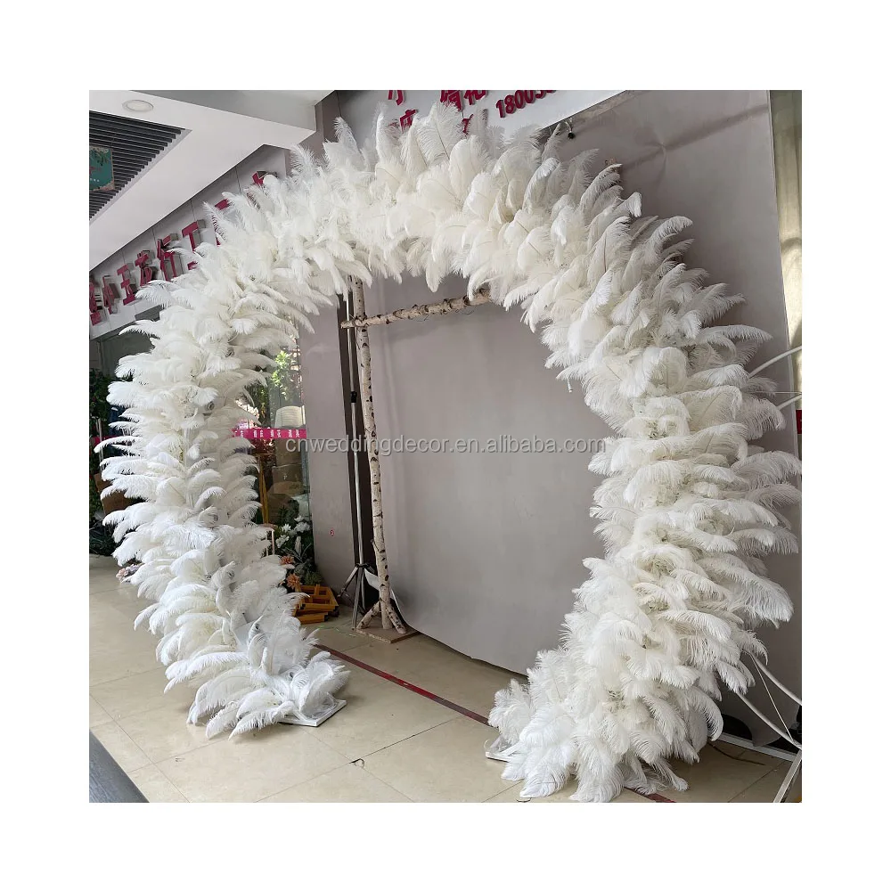 Arch With Light Ostrich Feathers For Wedding Backdrop Set Of Wedding ...