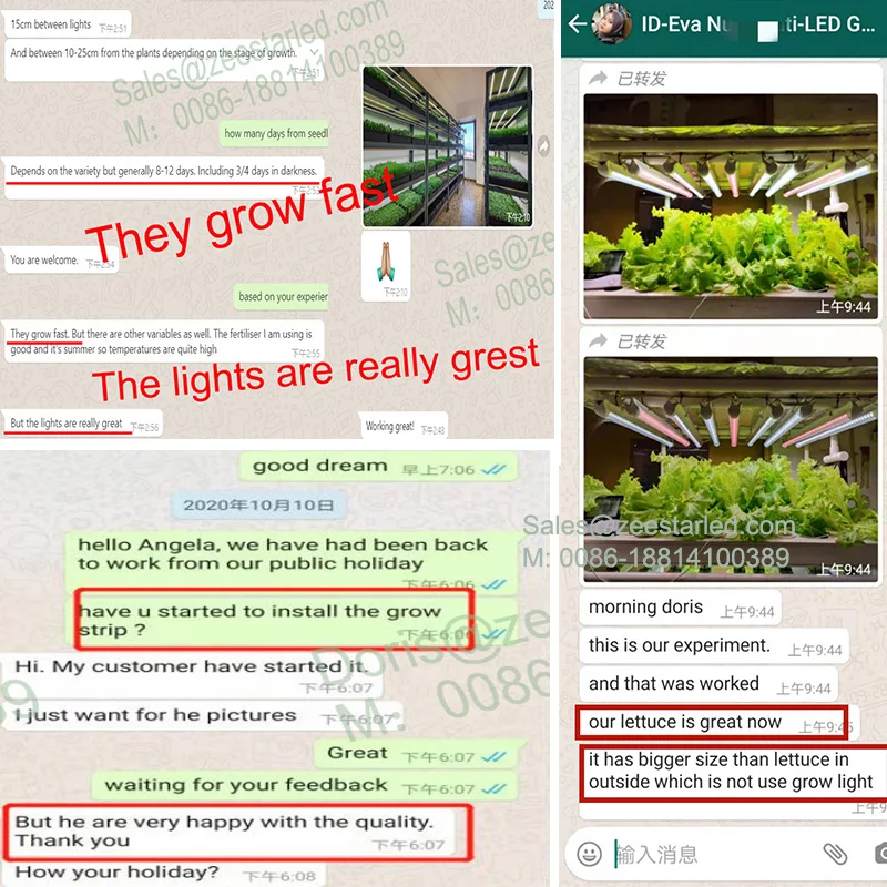 6000k 7000k Full Spectrum LED Strip Light for Microalgae Culture