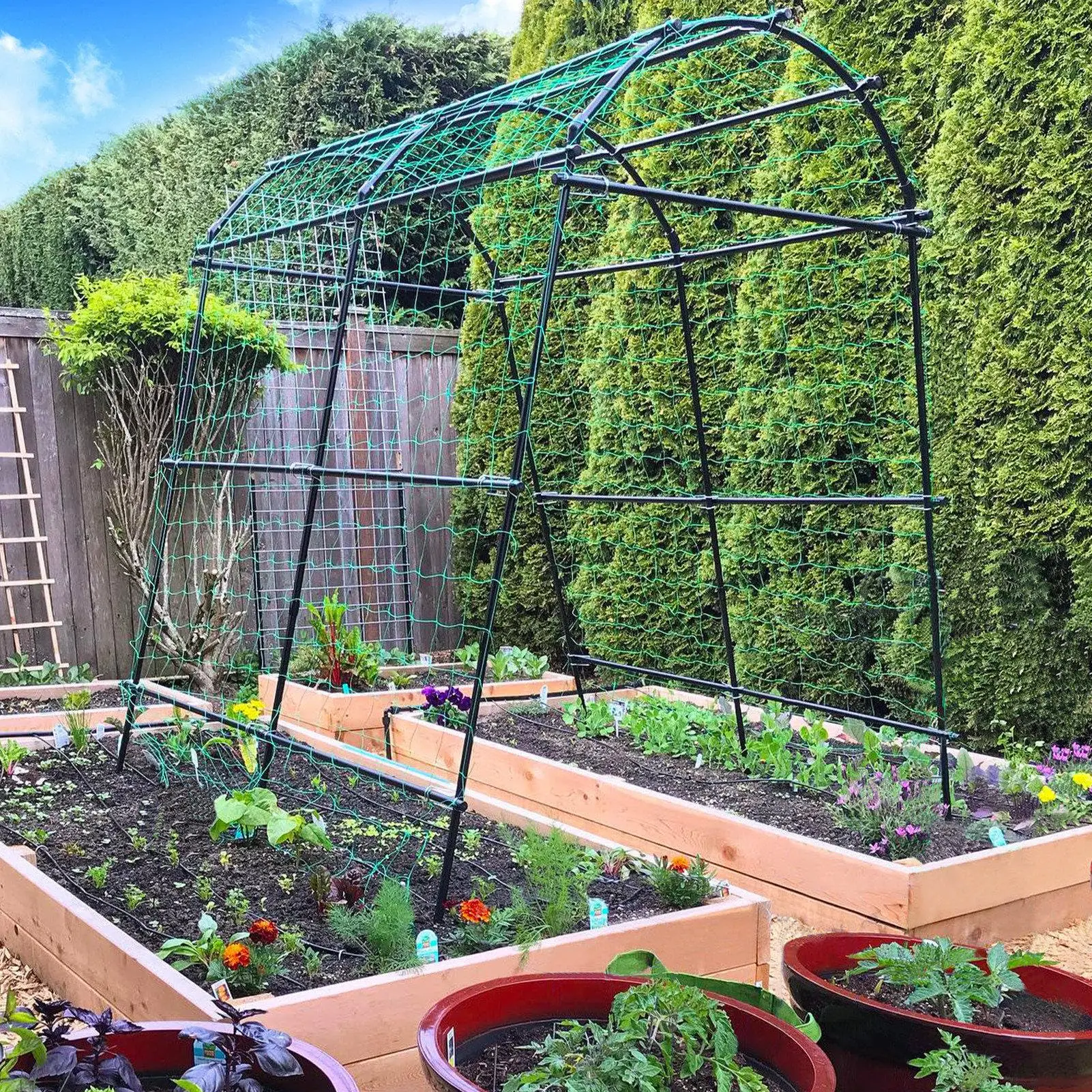 Raised Vegetable Garden Support Frame