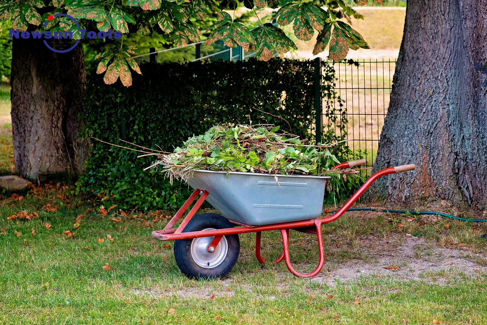 NEWSUN WB6414 Garden Plastic Tray Wheelbarrow Wheel Barrow for ...
