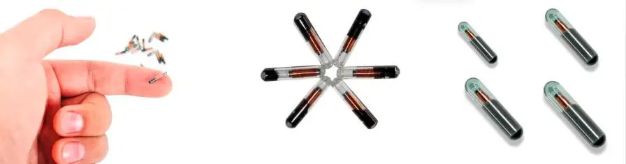 CMRFID Injectable Animal ID ISO 11784/5 EM4305 Capsule Tag