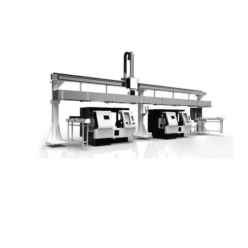 2-axis Gantry Robots - Precise and Efficient Material Handling