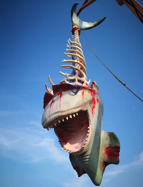 Life-size Fiberglass Shark - High Quality Dinosaur Model