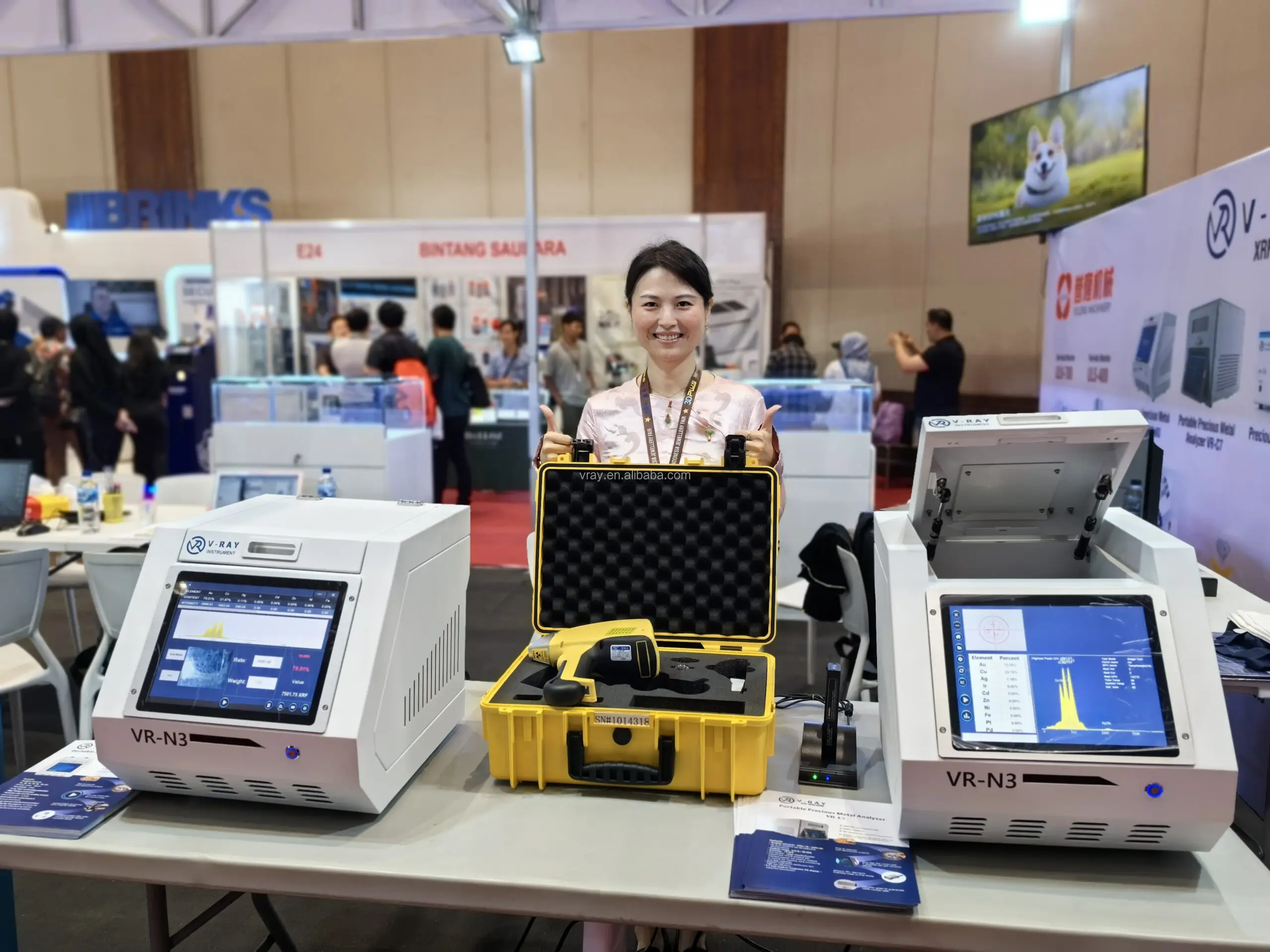 Vray Benchtop X-Ray Spectrometer Precious Metal Analyzer with X-Y ...