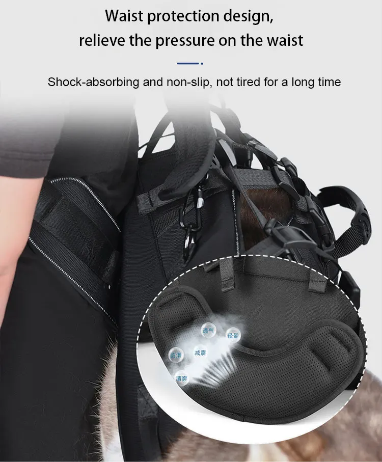 Pet Medium And Large Dog Backpack Multifunctional Backpack Outdoor ...