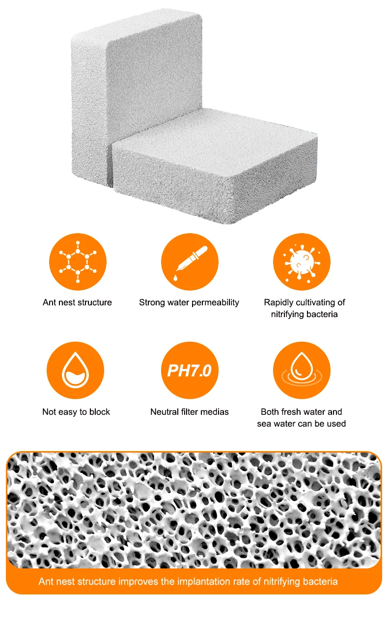 Aquaclean Hot Sale Ammonia And Nitrate Remover Bacterial House Aquarium ...