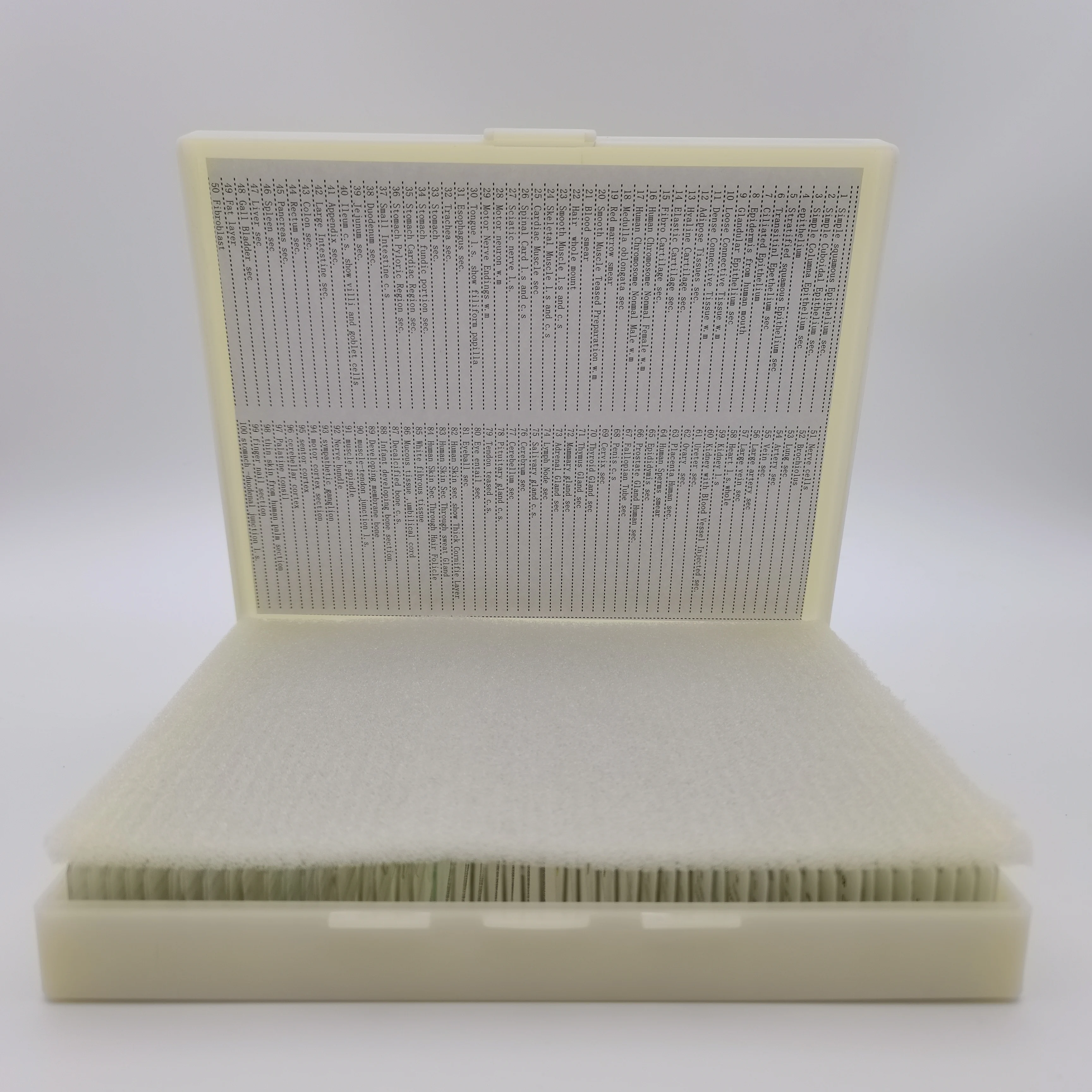 Anatomy Microscope Slides