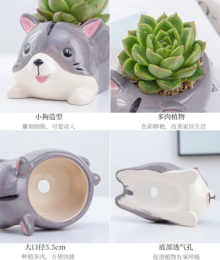 8 Cute Ceramic Animal Plant Flower Pots - Perfect for Home