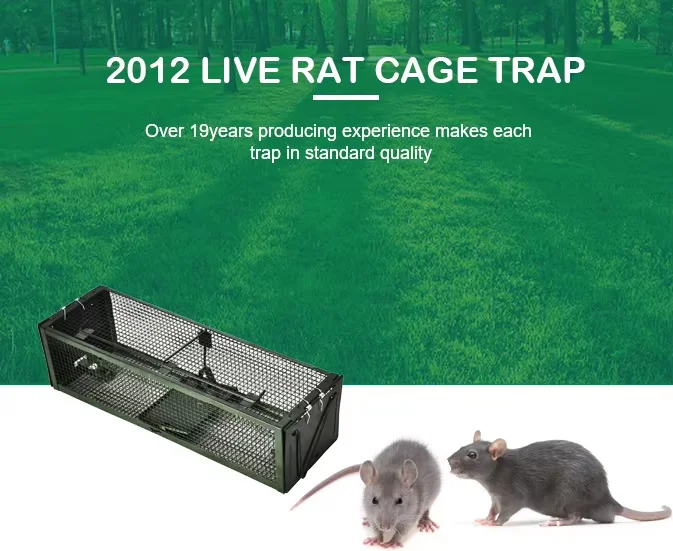 Humane Live Catch Rat Trap with 2 Entry Points - Eco-friendly