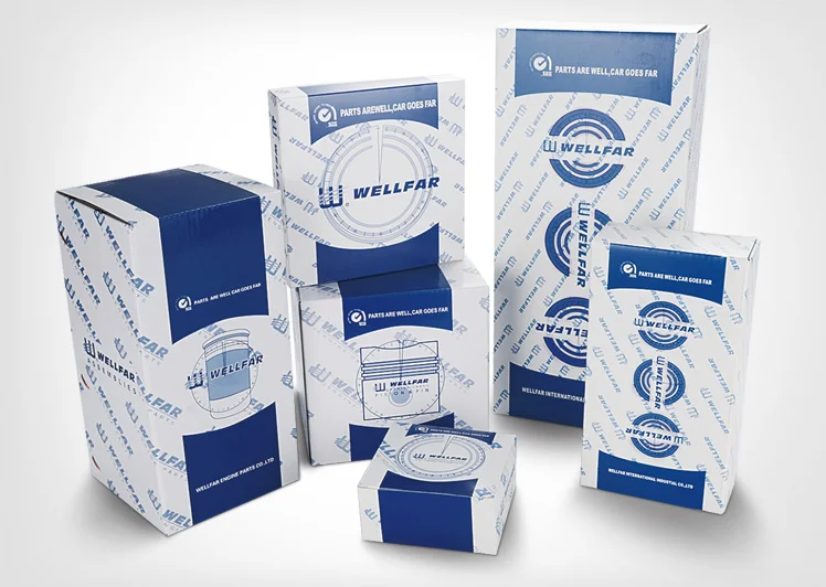 Tractor Auto Engine Diesel Piston 114mm 3917707/3802263/e21850 For ...