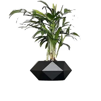Lecmag Magnetic Levitating Bonsai Floating Plant Pot For Plants With ...