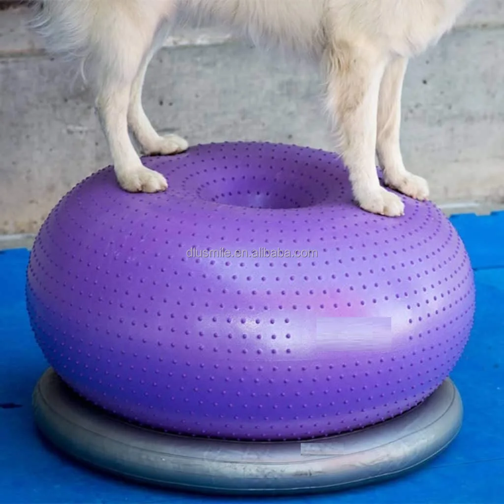 Senior Dog Fitness Dog Balance Disc Cushion - Exercise & Rehabilitation ...