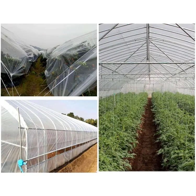 Low Cost Single-Span ETFE Film for Greenhouse - Sunburst