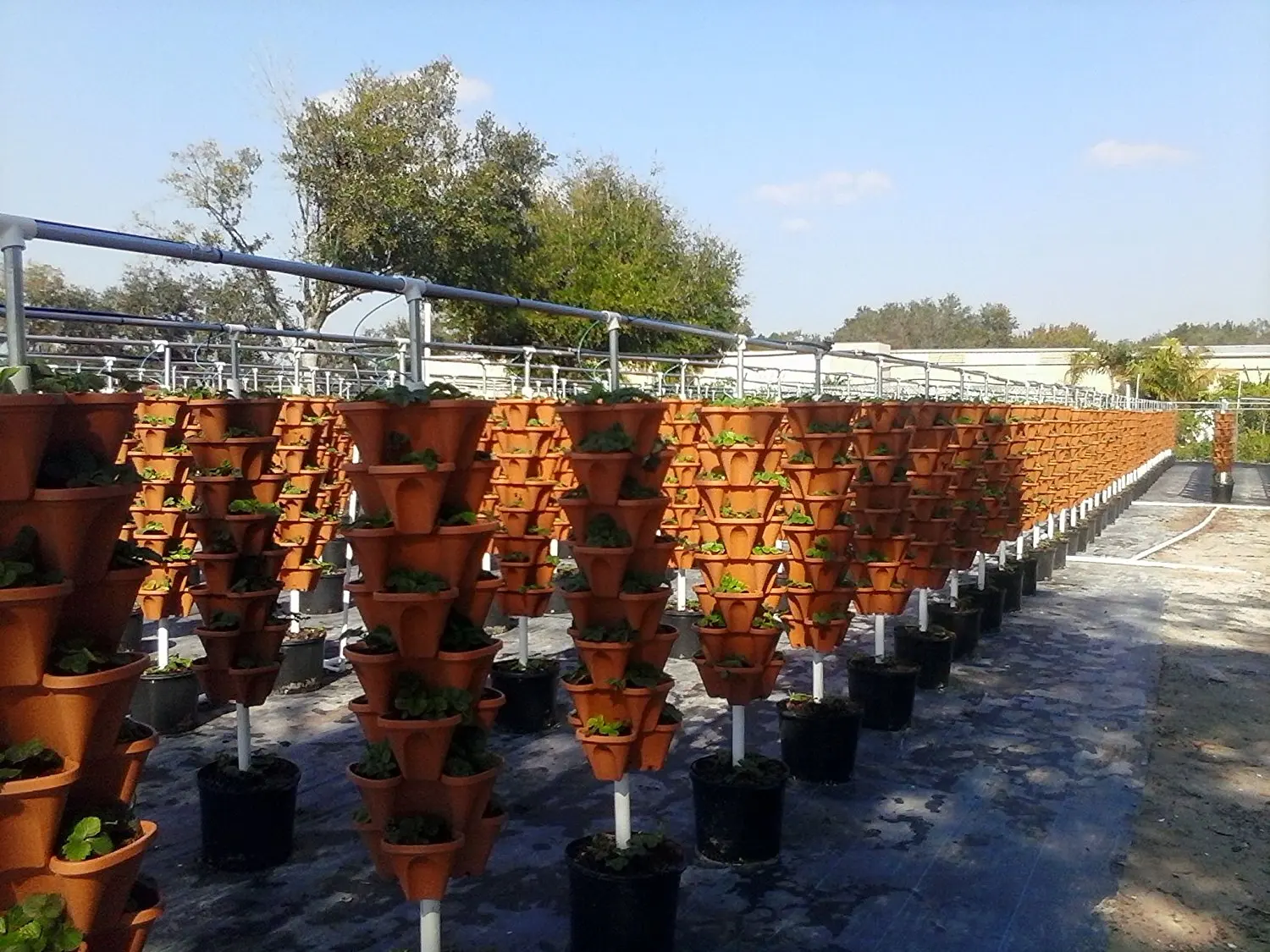 Hydroponics Tower Vertical Hydroponic Column for Growing Lettuce ...