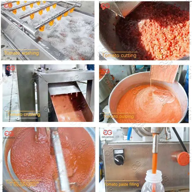 Industry Large Tomato Paste Production Line Mini Complete Industrial Concentrate Tomato Paste ...
