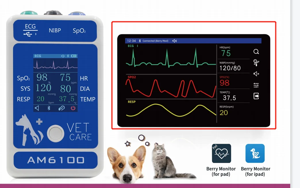 SUNNYMED SY-AM6100 Veterinary Monitor - Cheap Price & Diagnostics