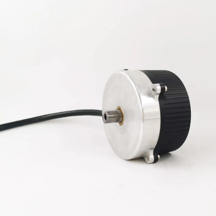 Bldc Motor 220v for Kitchen Food Waste Disposal Machine