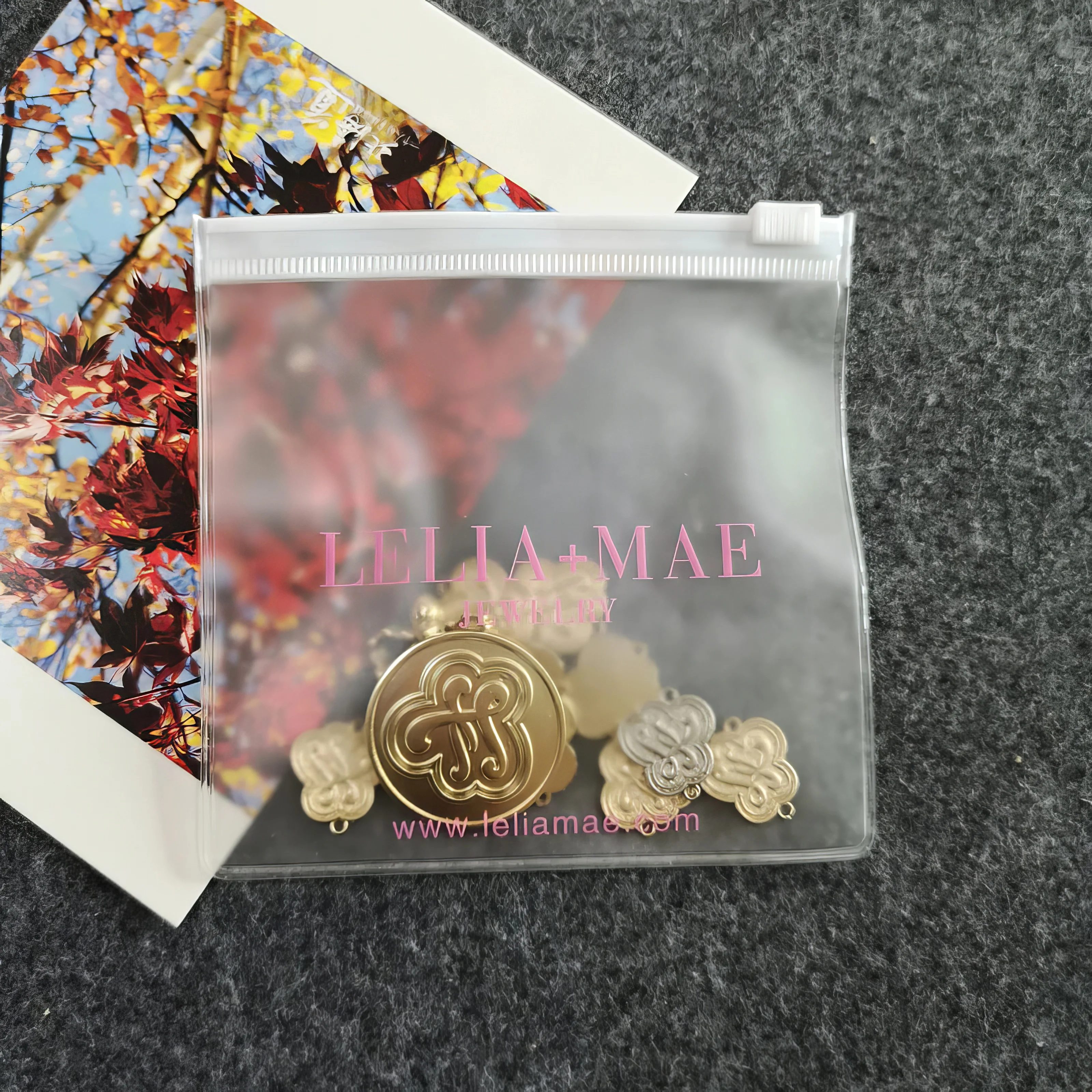 Pvc Watch Wact Strap Transparent Clear Pvc Storage Ziplock Zip Lock ...