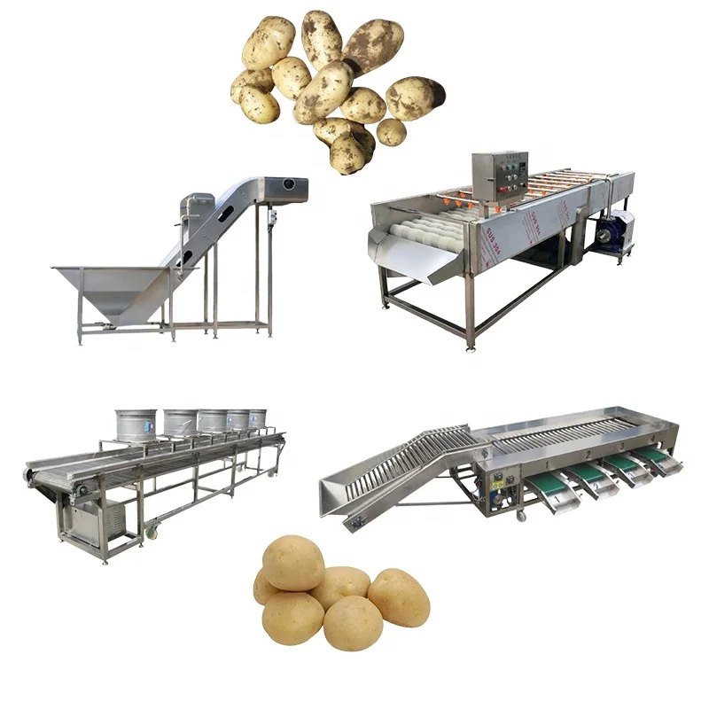 Sweet potato washing line size grading washing and sorting machines ...