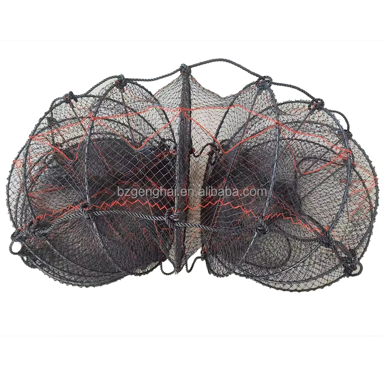 Oyster Farming Cages Aquaculture Device Farming Oysters Eel Traps ...