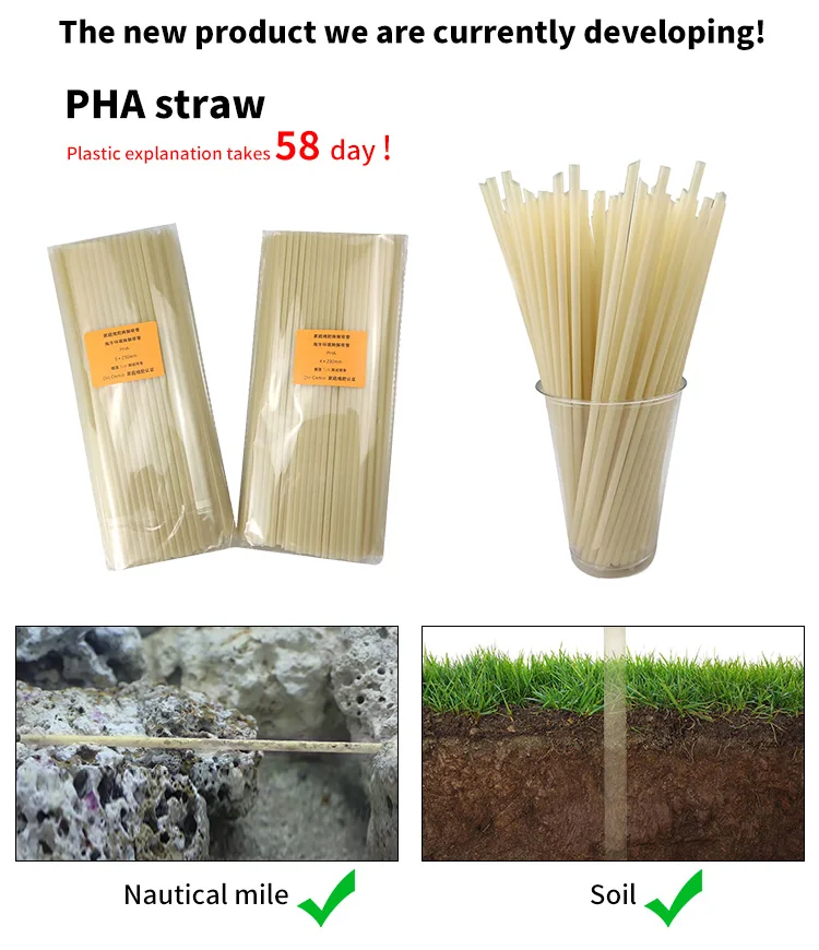 Eco-friendly Straws - Biodegradable & Compostable Options