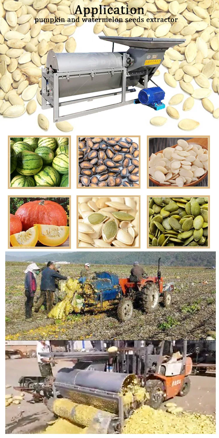 A Top-selling Watermelon Seed Harvester Machine Pumpkin Melon Seed ...
