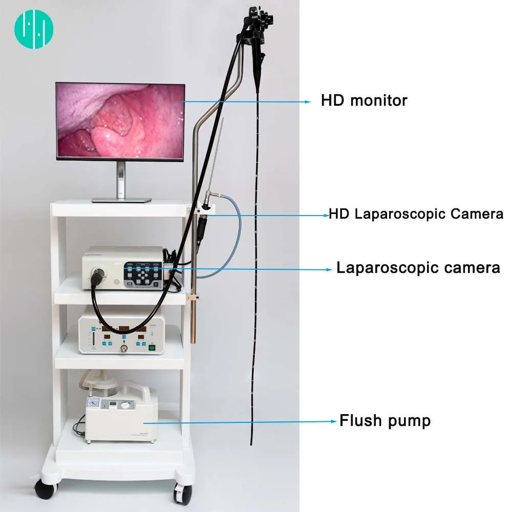 Hot Sale Endoscopic Camera Gastroscopy Colonoscopy Veterinary Flexible ...